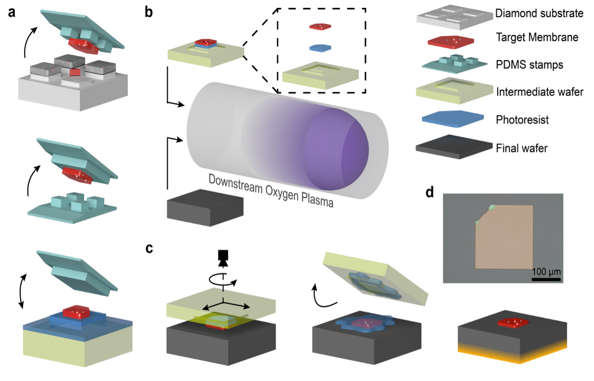Science Highlights | DOE National Quantum Information Science Research Centers