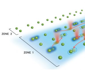 DOE National Quantum Information Science Research Centers